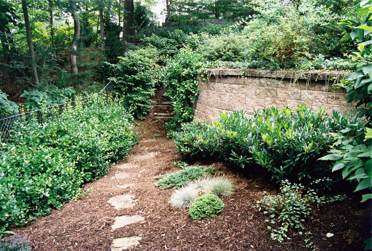 From Mundane to Magical: How Stepping Stones Revitalize Your Yard